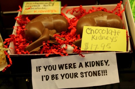 Whimsical Chocolate Biology | 3FS Lifestyle: Food Fashion Frameworks