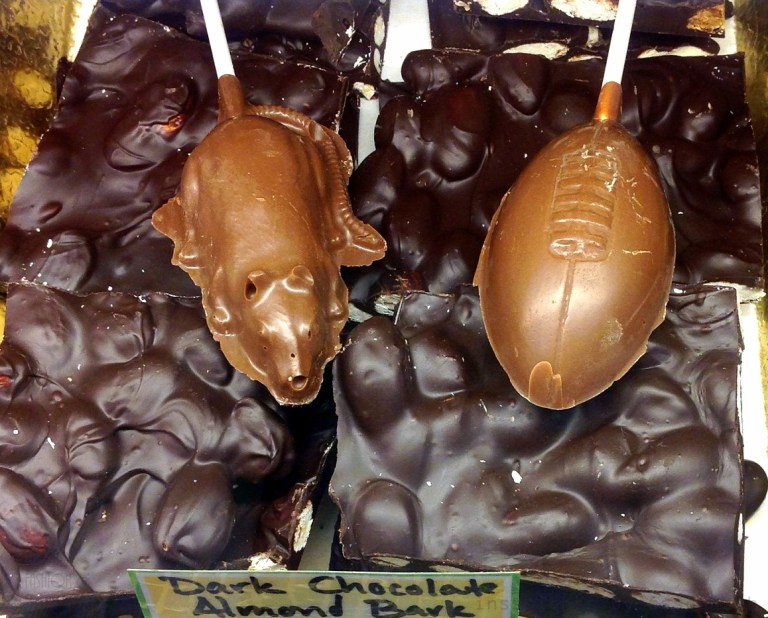 Whimsical Chocolate Biology | 3FS Lifestyle: Food Fashion Frameworks
